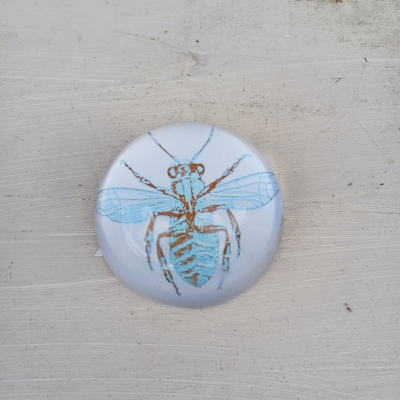 Office | Bee Paperweight Art Glass Half Dome 3in Diameter Blue And ...